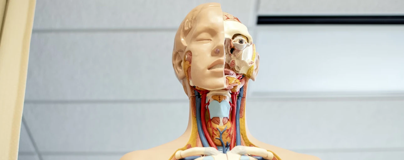 Pediatrics Care – Dr. Abraham López Zepeda
